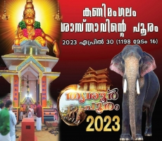 Thrissur Pooram Festival